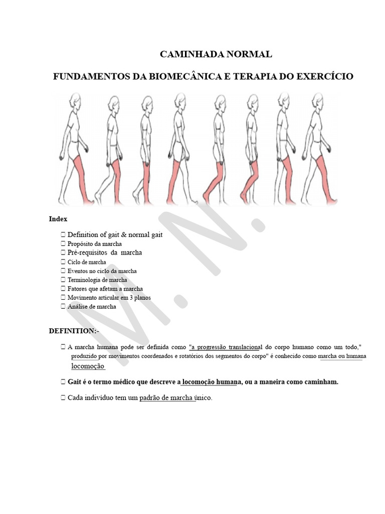 Fundamentos da Marcha Normal e Biomecânica | PDF | Bipedalismo | Pé