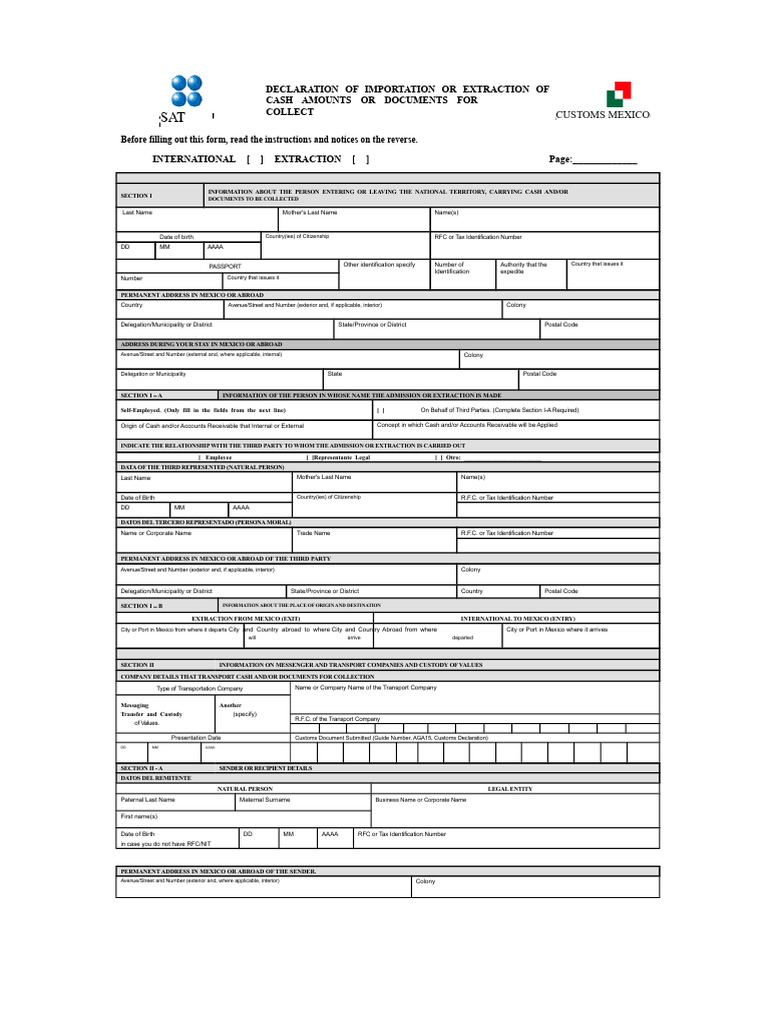Declaration of The Import or Export of Cash Amounts | PDF | Cash ...