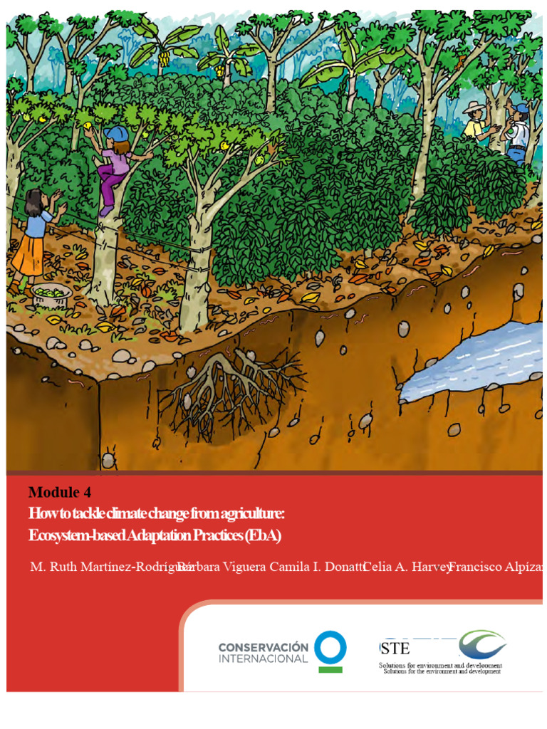 Module 4 Color | PDF | Soil | Natural Environment