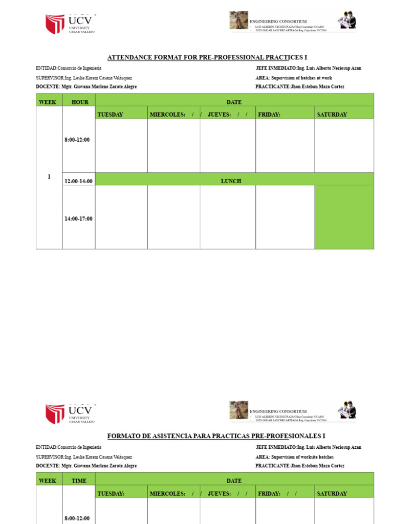 Attendance Format For Pre-Practice | PDF