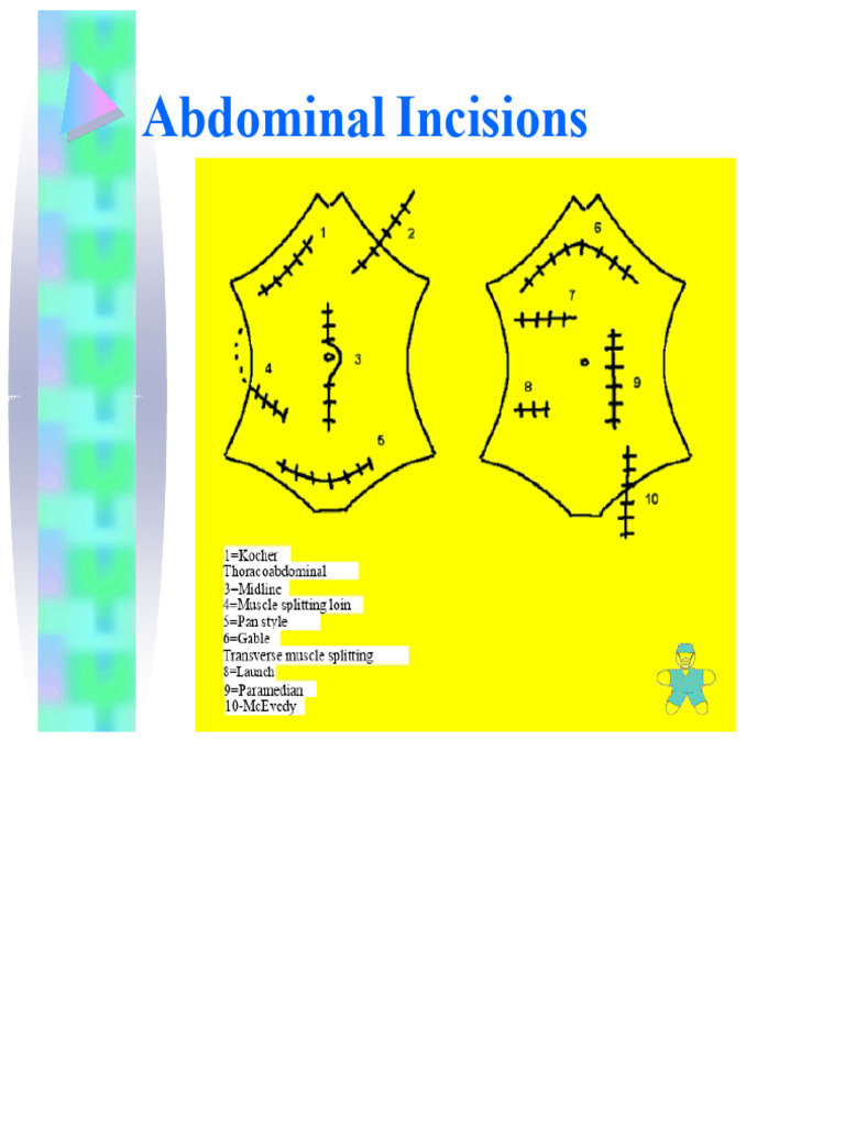 Abdominal Incisions | PDF | Heart | Lung