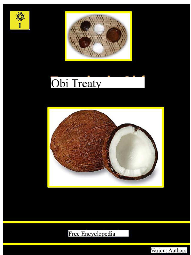 Treaty of the Obí.pdf | PDF | Santería | Saint