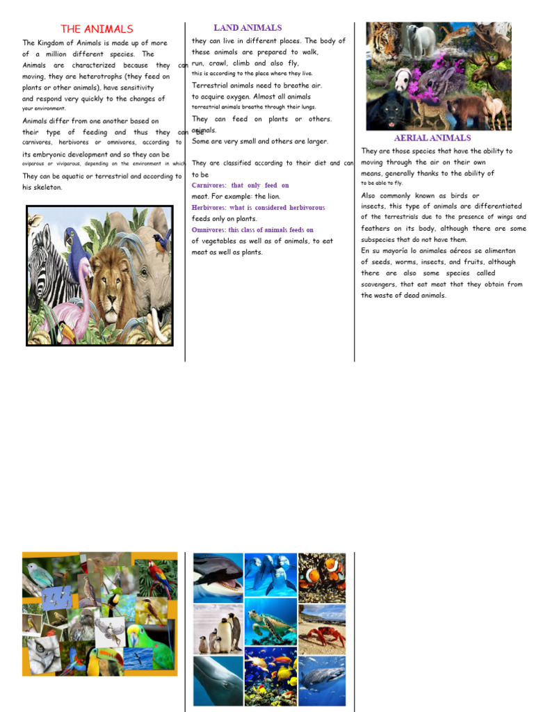 TRIP LAND AND AQUATIC ANIMALS | PDF | Zoology | Biology