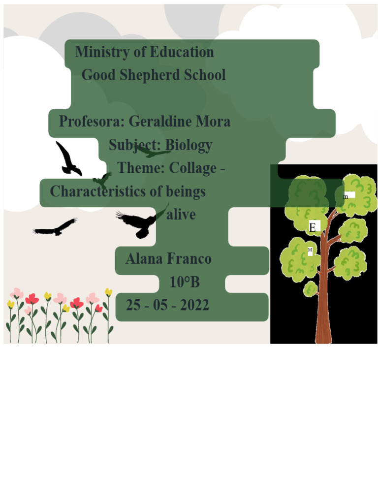 Collage - Characteristics of Living Beings - Alana Franco 10°B | PDF