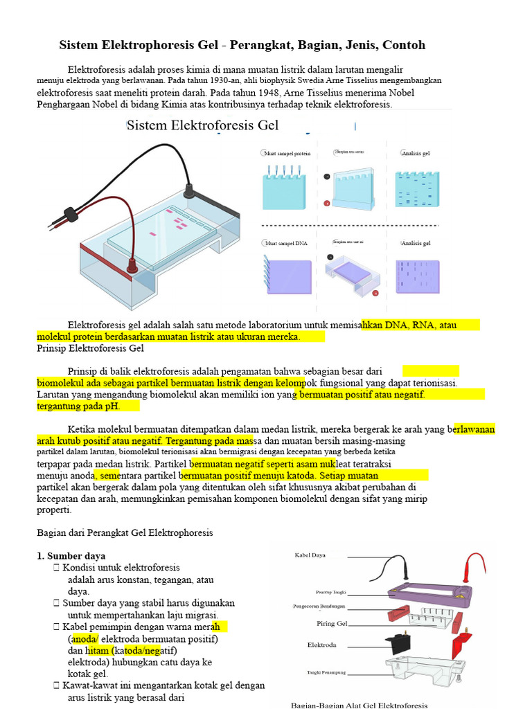 Panduan Lengkap Elektroforesis Gel | PDF