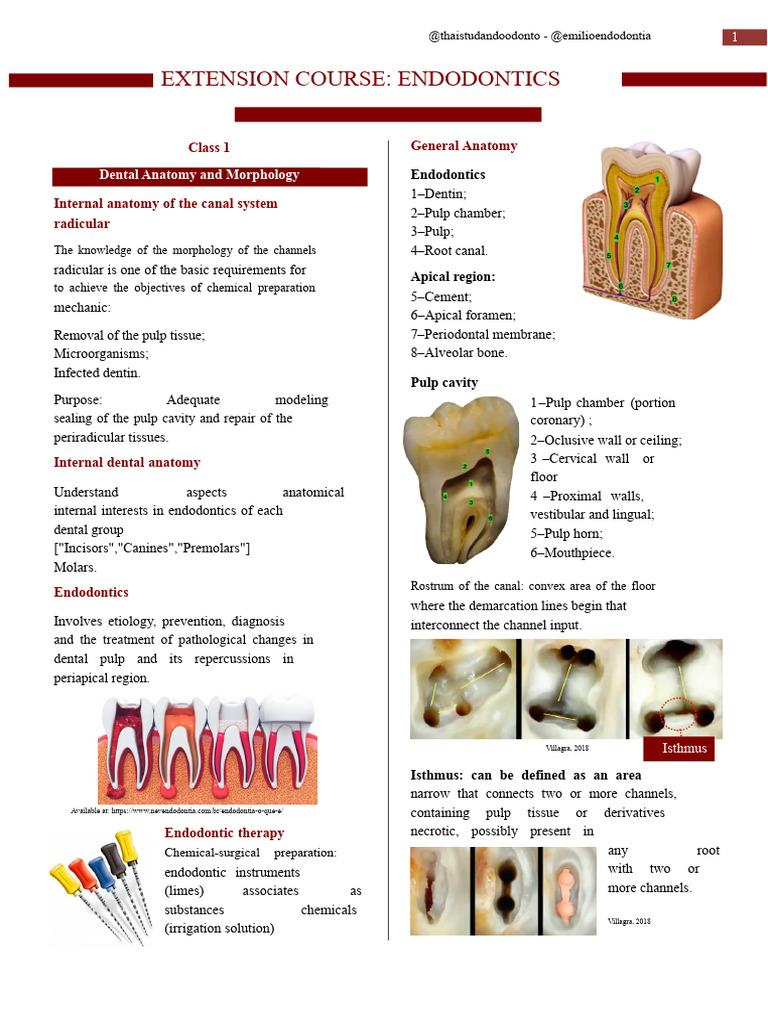 Booklet - Endodontics Extension Course @thaistudandoodonto and ...