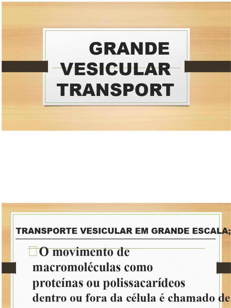 Transporte Vesicular em Grande Escala | PDF | Vesícula (Biologia e ...