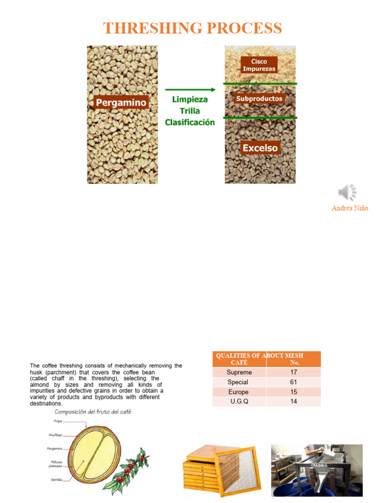 Coffee Threshing Process | PDF