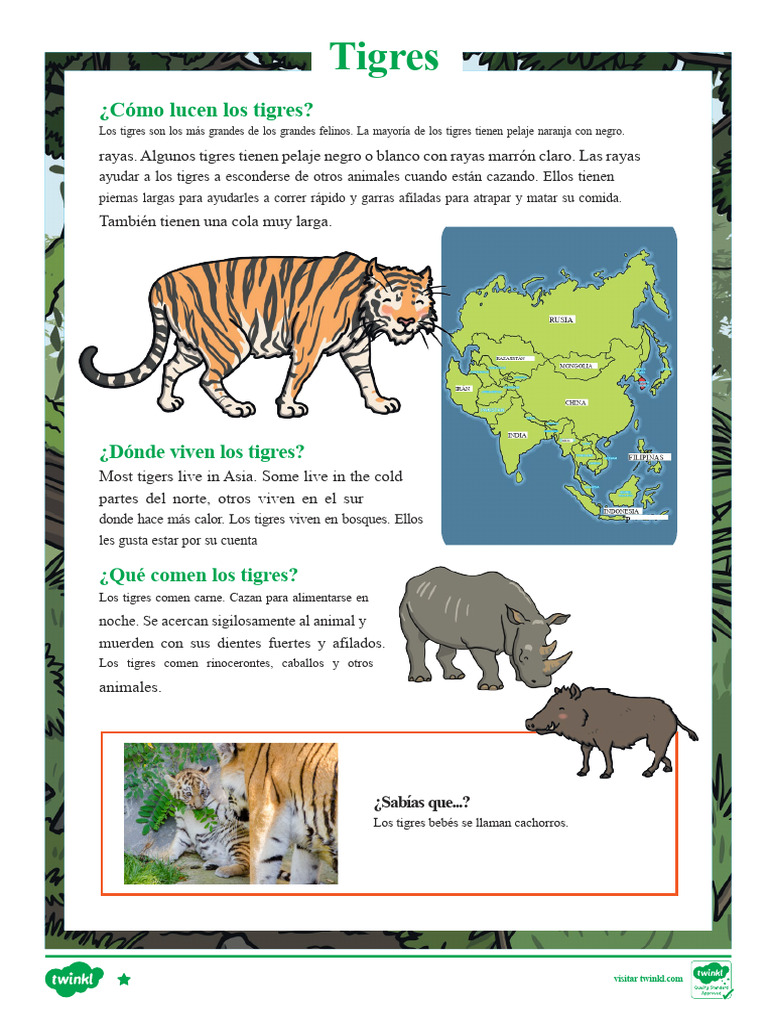 Actividad de Comprensión Lectora Diferenciada Sobre Tigres | PDF ...