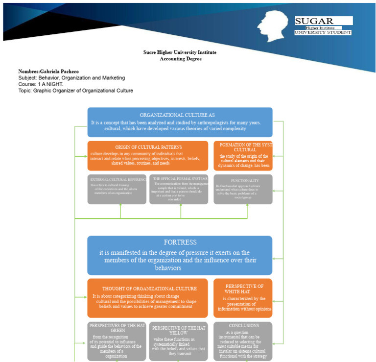 Organizational Culture Graphic Organizer | PDF | Organizational Culture ...