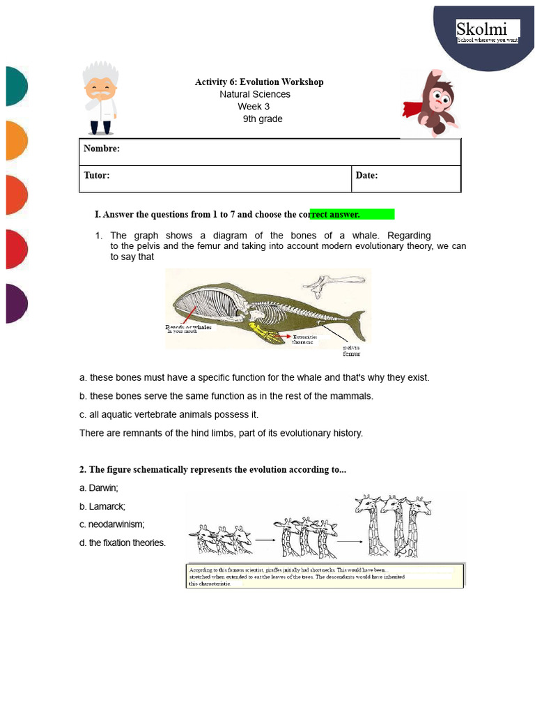 Activity 6 Natural Sciences Grade 9 Skolmi | PDF | Evolution | Homology ...