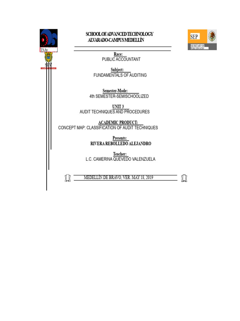 Audit Techniques Concept Map | PDF | Audit