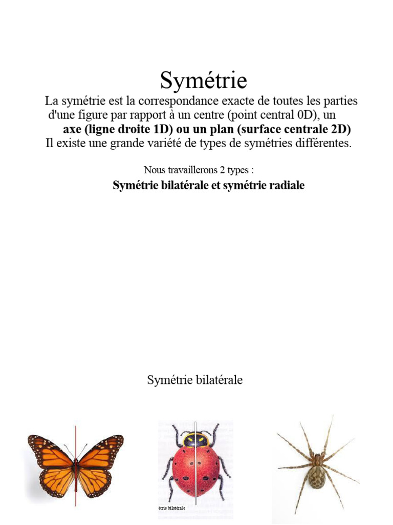 Types de symétrie : bilatérale et radiale | PDF