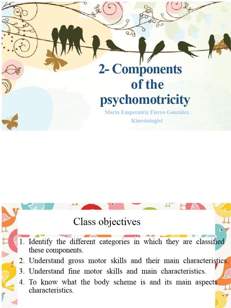 Psychomotricity Components Explained | PDF | Infants | Motor Coordination