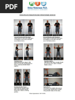 Scapular Stabilisation: Y-W-T Exercises | PDF