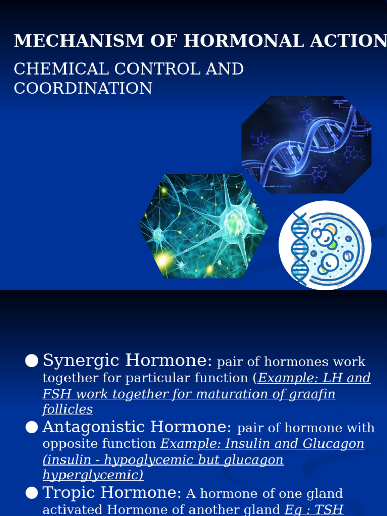 Hormonal Mechanism | PDF