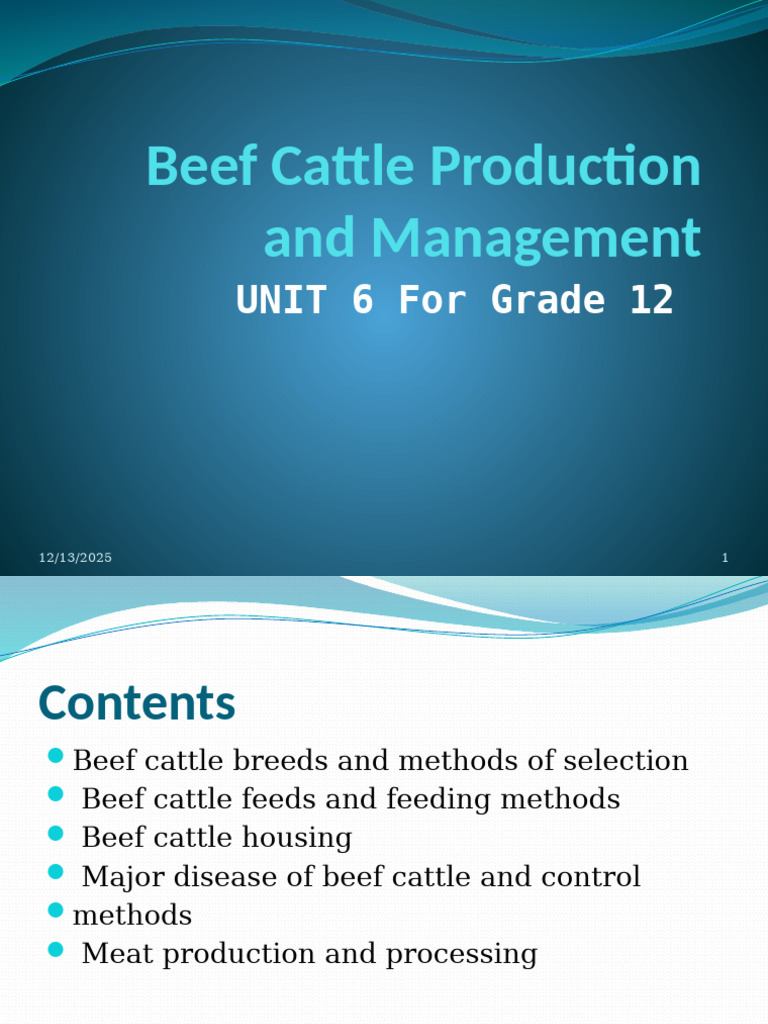 Beef Cattle Production & Management Guide | PDF | Animal Feed | Cattle