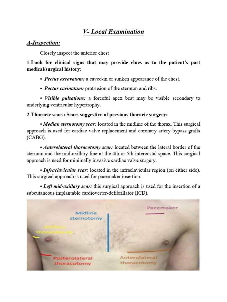 Comprehensive Guide to Cardiac Examination | PDF | Heart Valve | Heart