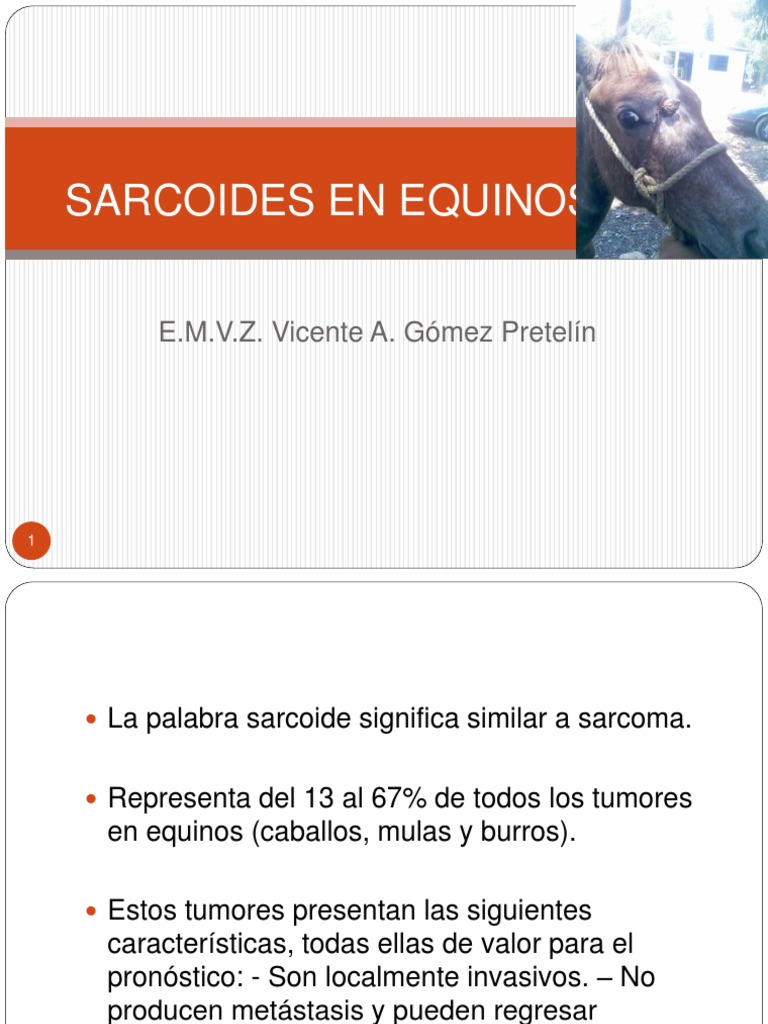 Sarcoides en Equinos | PDF