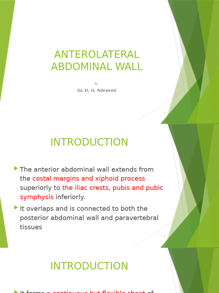 Anterolateral Abdominal Wall | PDF | Abdomen | Soft Tissue