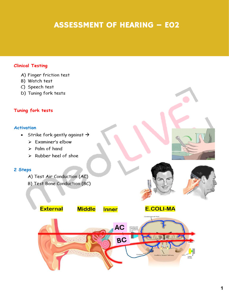 Assessment of Hearing E02 | PDF | Hearing Loss | Sound
