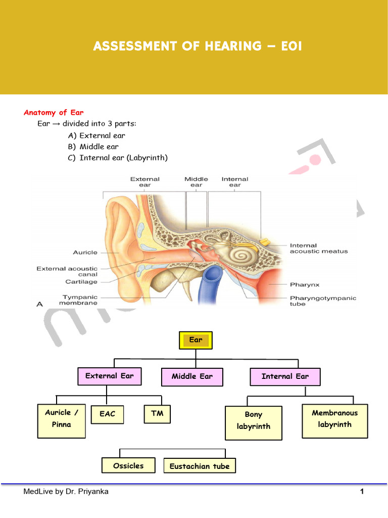 Hearing Assessment and Ear Anatomy Guide | PDF | Auditory System | Hearing