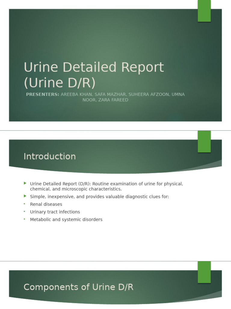 Urine Detailed Report (Urine DR) | PDF | Urine | Medical Specialties