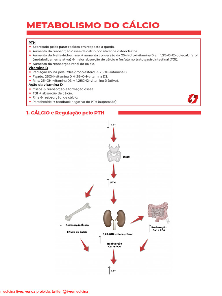 Metabolismo do Cálcio e PTH | PDF | Sistema endócrino
