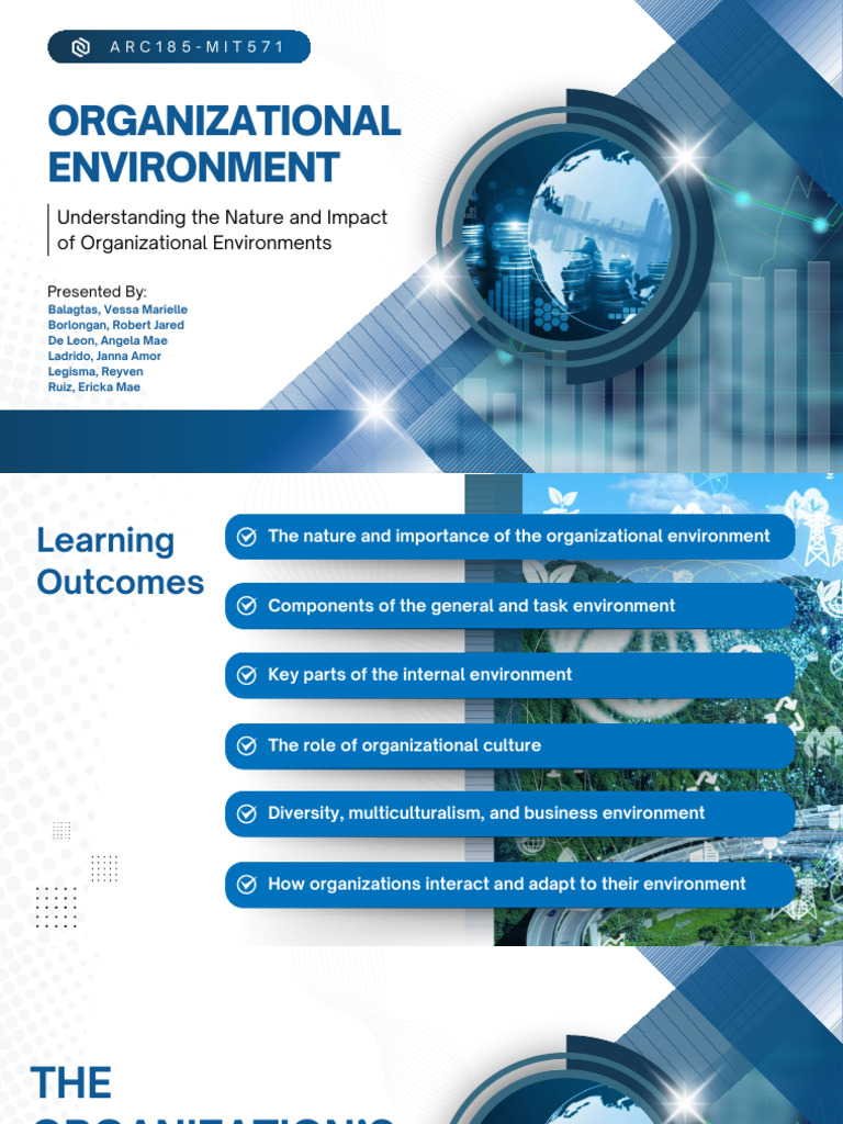 Organizational Environment Insights | PDF | Inventory | Human Resource ...