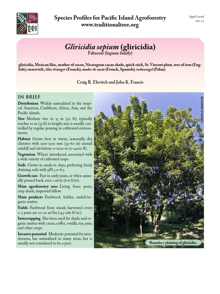 Gliricidia Sepium: Uses and Benefits | PDF | Trees | Pruning