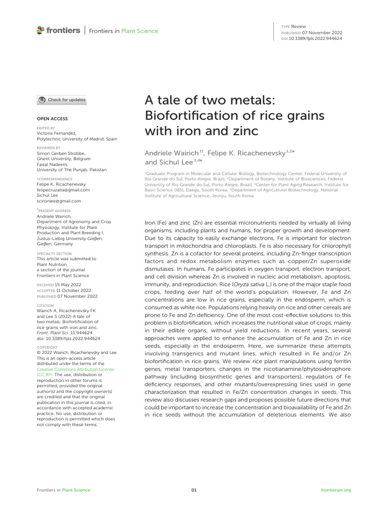 A Tale of Two Metals Biofortification of Rice Grains With 1qphyq1e ...