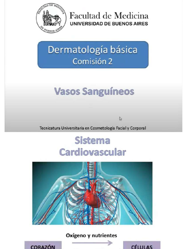 Clase 6 Dermato (1) | PDF