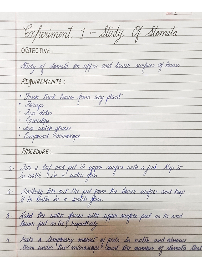 Bio Practical For Cbse School Class 11 | PDF