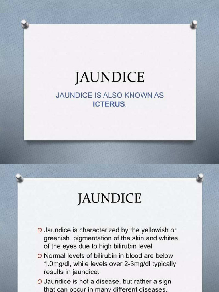 Jaundice | PDF