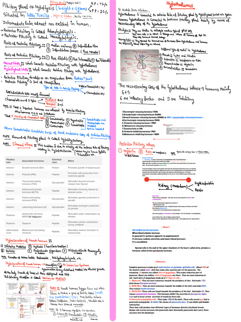 Chemical Class Note 2 | PDF