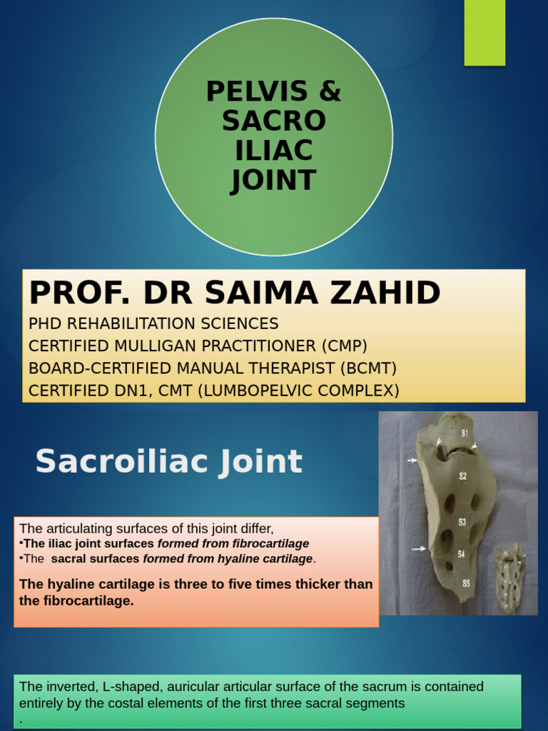 Sij Pelvis | PDF | Pelvis | Skeletal System