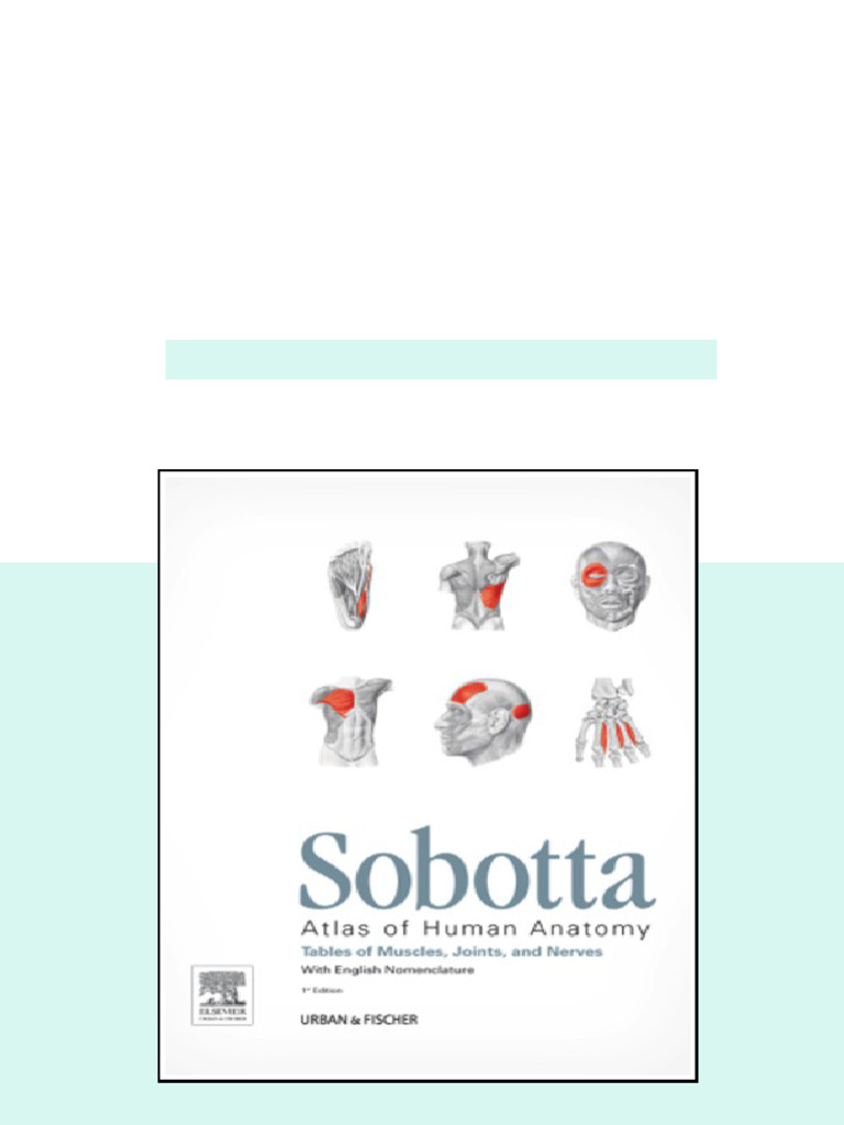 Sobotta Atlas of Human Anatomy 15th Ed Tables of Muscles Joints and ...