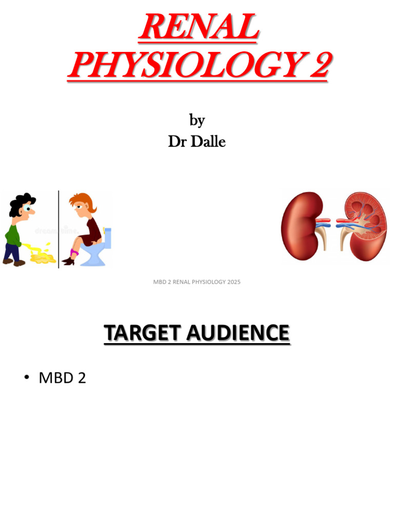 La Fonction Renale MBD 2-2025 | PDF | Kidney | Angiotensin
