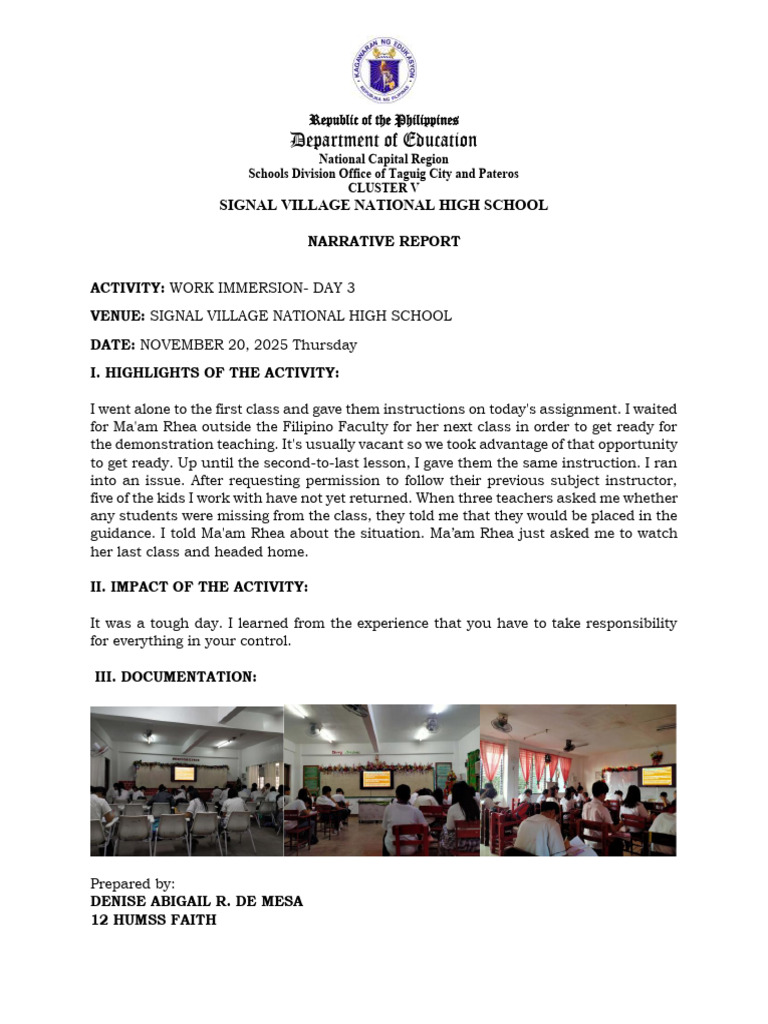 Daily Narrative Report Day 3 | PDF