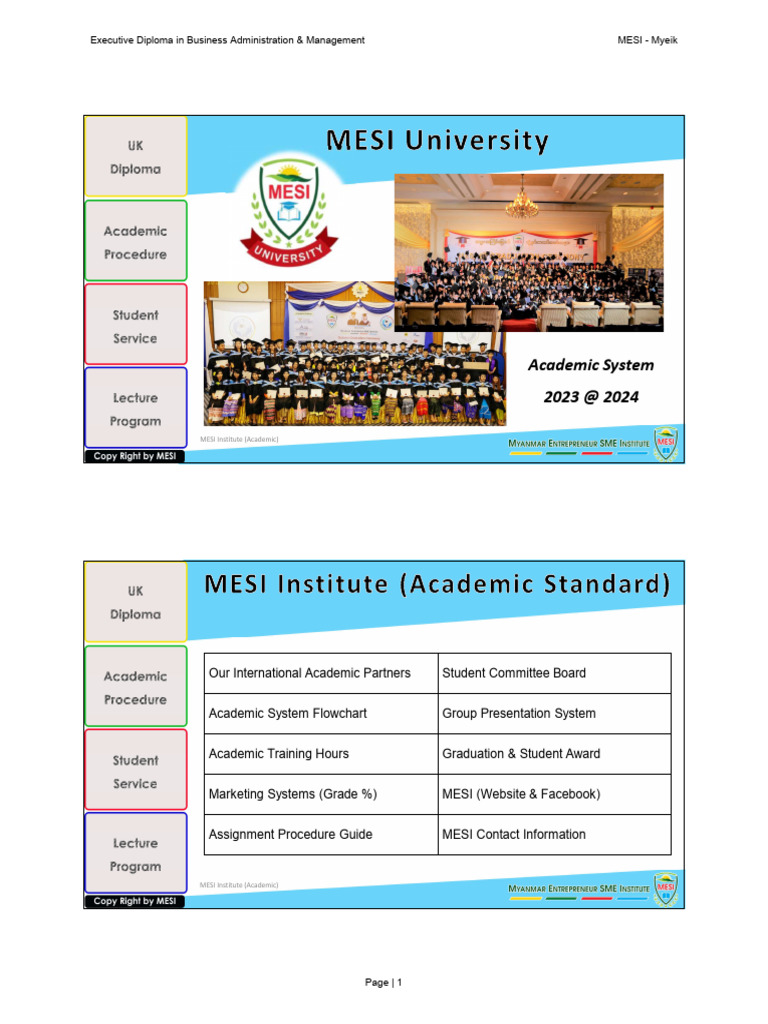MESI Executive Diploma Overview | PDF | Business | Partnership
