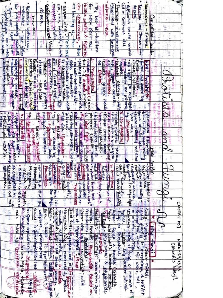 protista and fungi detailed Notes | PDF