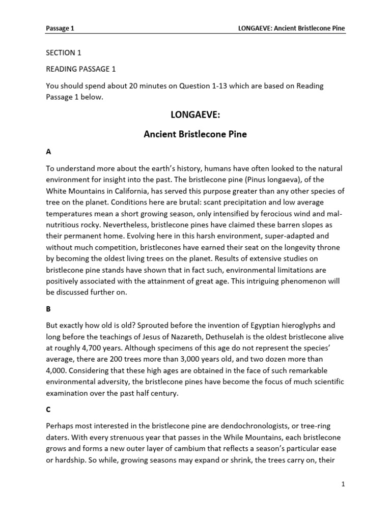Ancient Bristlecone Pine Longevity Insights | PDF | Trees | Pine