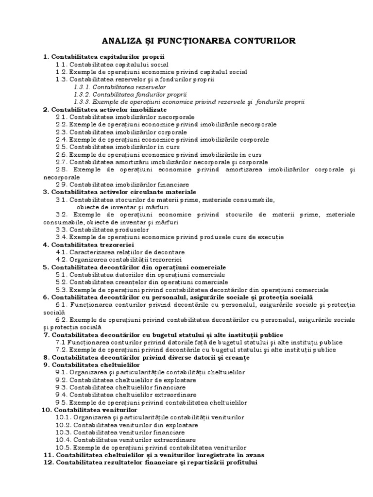 Analiza Si Functionarea Conturilor | PDF