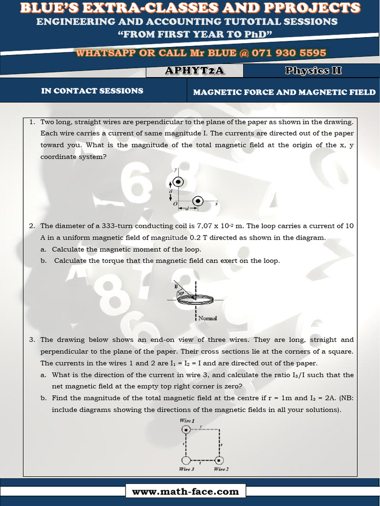 Physics 2 Blue Classes Magnetic Force and Magnetic Filed. | PDF