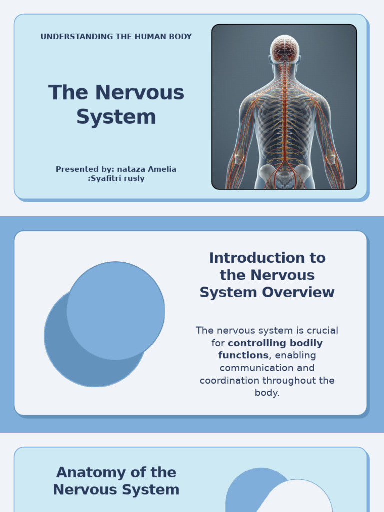 Presentasi - The Nervous System - 20251018 - 154149 - 0000 | PDF ...