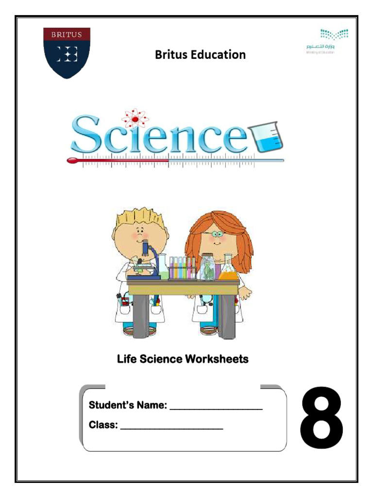 Model Answer Gr.8 Lfe Science T4 Worksheets 25-26 | PDF | Genotype | Translation (Biology)