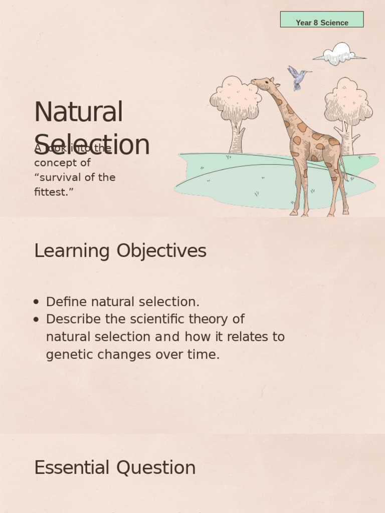 Natural Selection 2 | PDF | Natural Selection | Genetic Variation