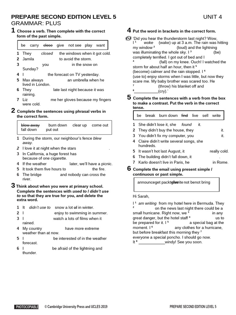 Level 5 Grammar Exercises and Answers | PDF