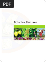 Leaf and Leaflet Morphology Guide | PDF | Leaf | Branches Of Botany