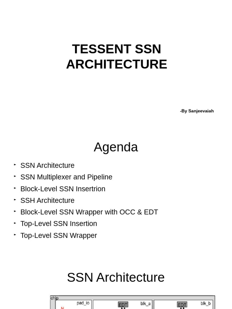 SSN Architecture Sanjeev | PDF